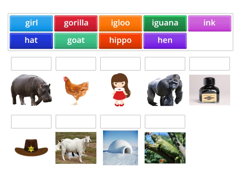 Unit 3 - Letters GHI new words - Match up