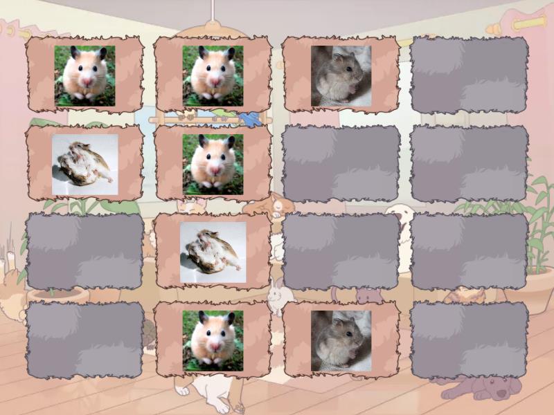 hamster 2 - Matching pairs