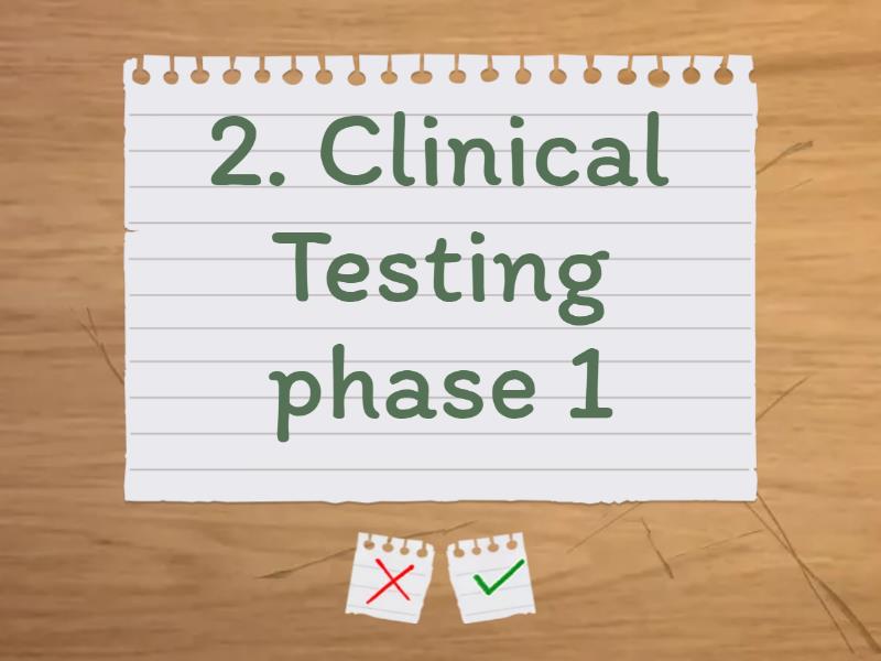 Stages of drug testing - Flash cards