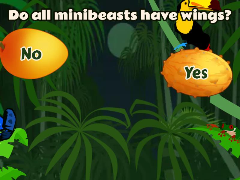 Minibeasts - Flying fruit