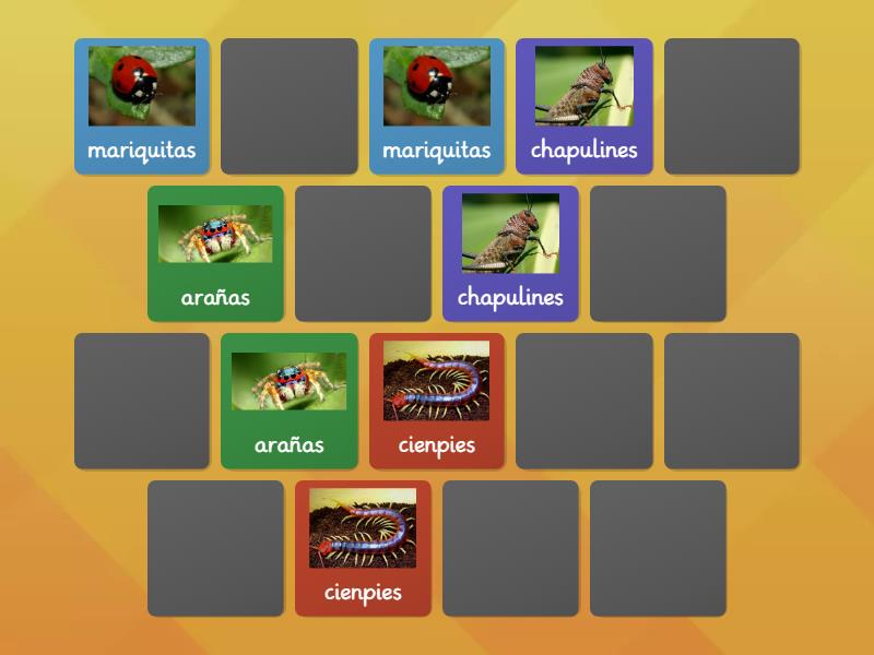 memorama de insectos - Parejas