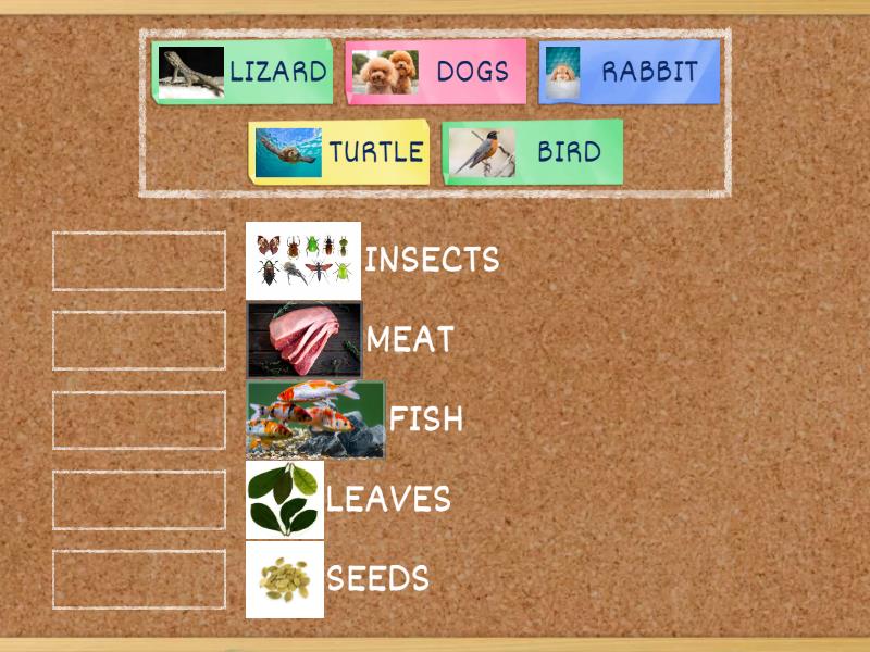 Pre-A1: Vocabulary: Pets and what they eat - Match up