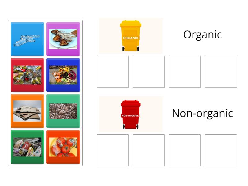Match each picture to the correct bin! - Group sort
