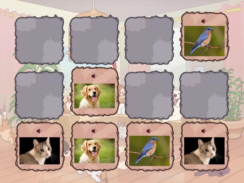 PETS - Matching pairs