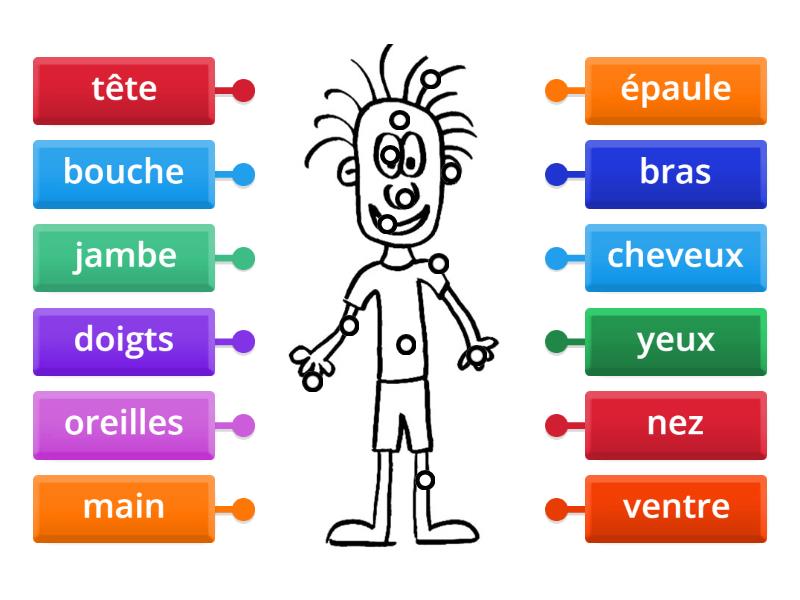 French Body Parts-Grade 4 - Labelled diagram