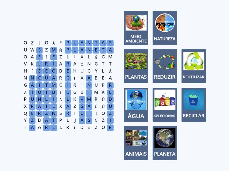 Meio Ambiente - Wordsearch