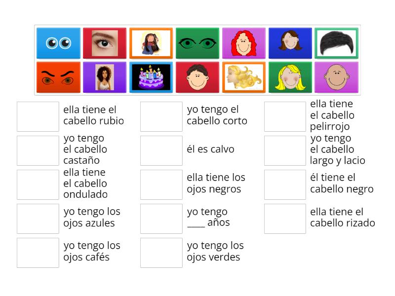 Ojos y el cabello (SER Y TENER) - Match up