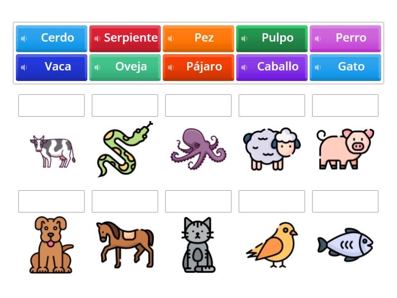 Los animales - Match up