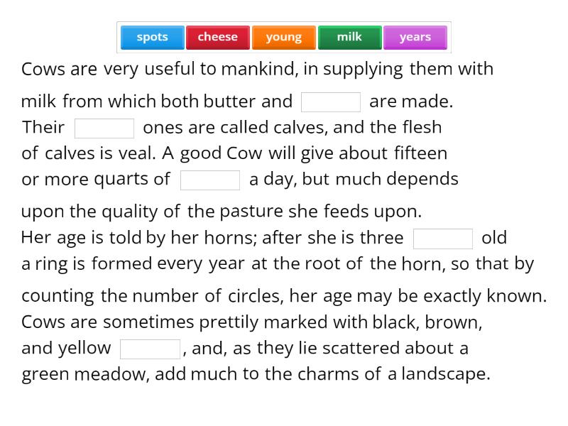 DESCRIPTIVE WRITING - Complete the sentence