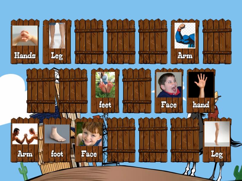 EYFS My Body - Matching pairs