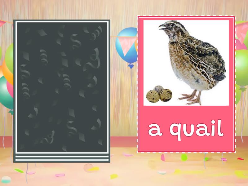 Qq queen quail quill quilt - Random cards