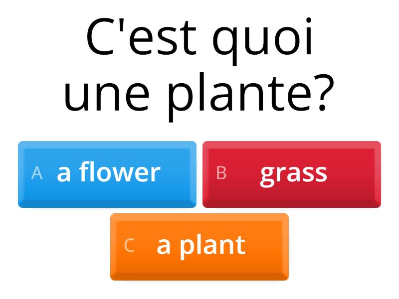 Le printemps #2 - Quiz