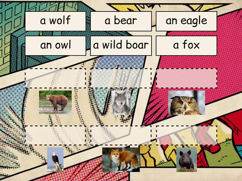 Forest animals - Match up