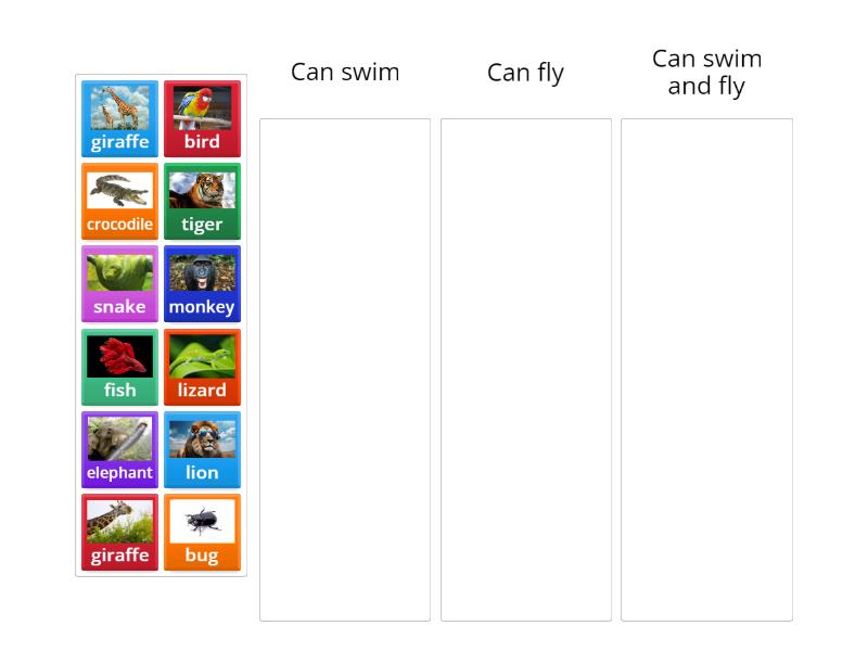 Animals - swim and fly [Cat] - Categorize