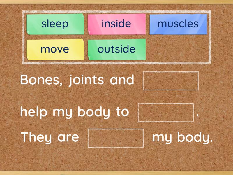 Complete the sentences - Completa la oración