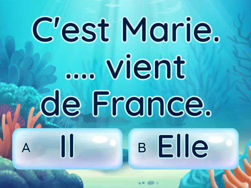 il, elle - Quiz