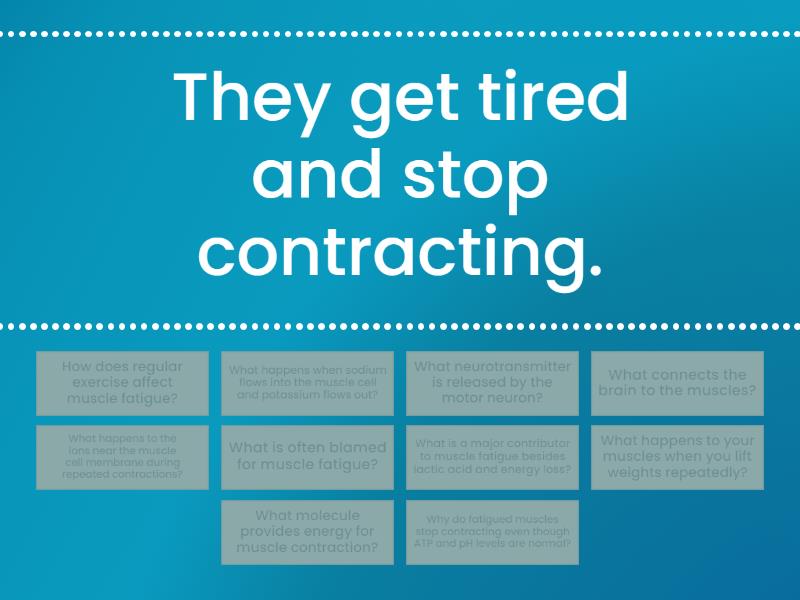 The Surprising Reason Why Our Muscles Get Tired (B1 video session ...