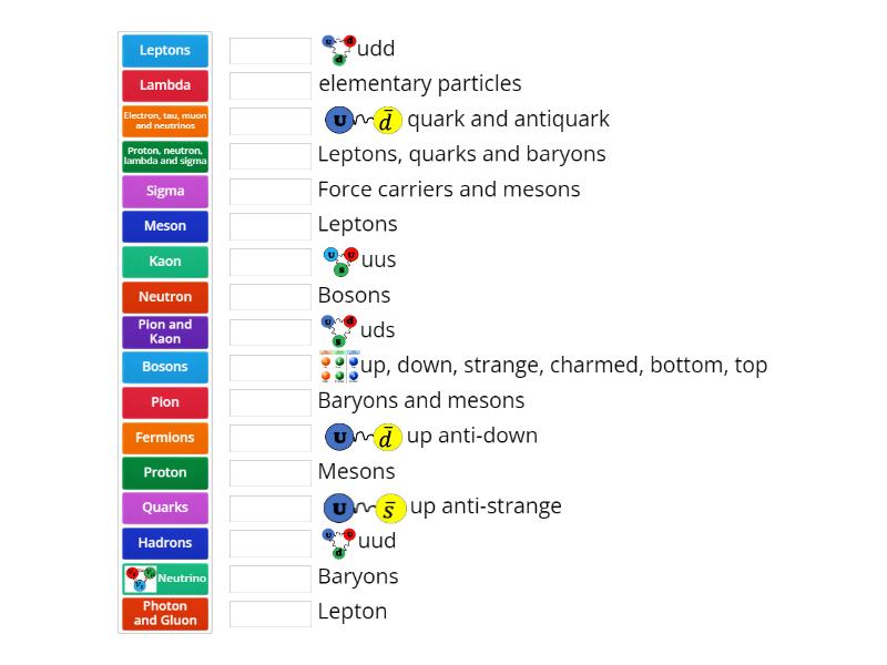 Particle Physics: Family of particles - Match up