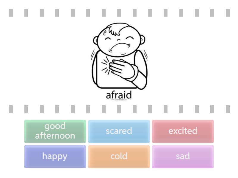 Makaton emotions - Cada oveja con su pareja