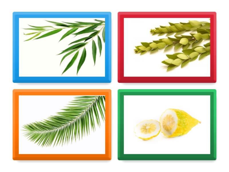 4 plants - Flip tiles