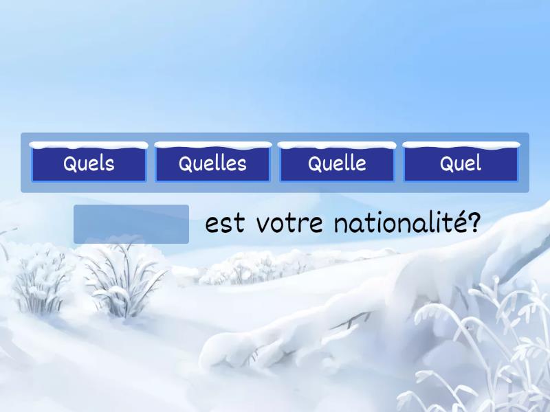 La forme interrogative quel/quelle/quels/quelles - Complete the sentence