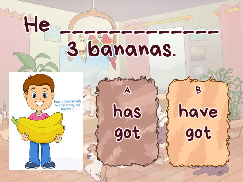 Have got/has got - Quiz