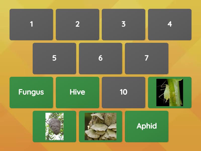 Community Life - Matching pairs