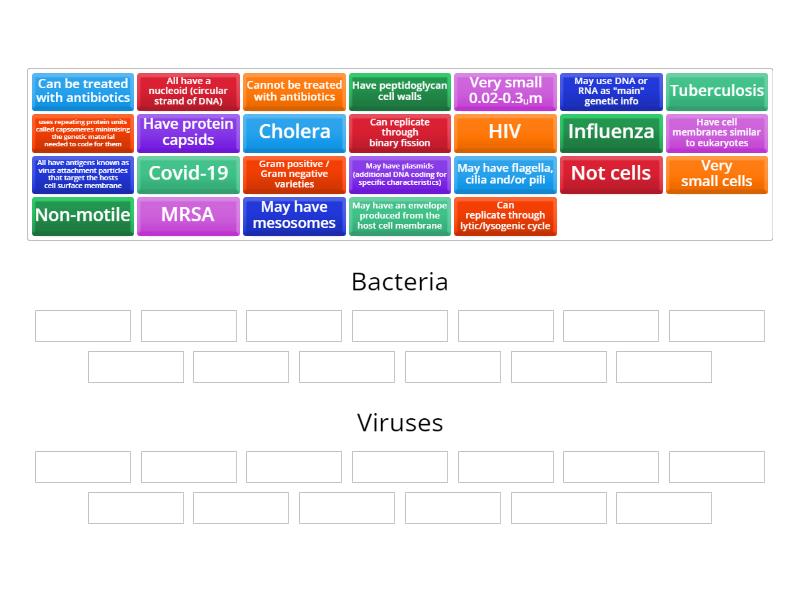 Bacteria vs Viruses - Group sort