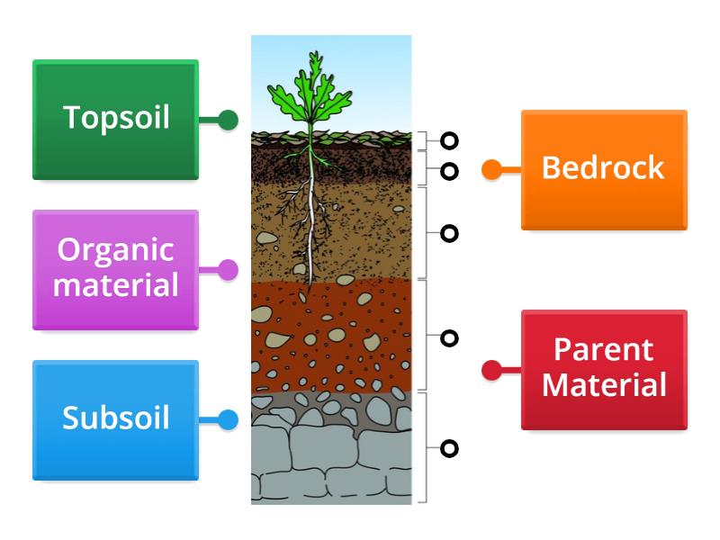 Soil Layers Labelling - Labelled diagram
