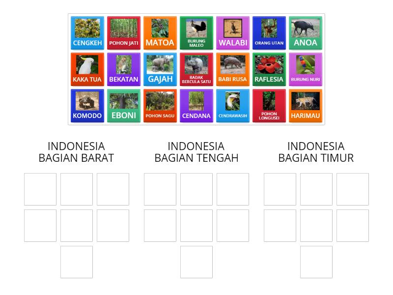 PERSEBARAN FLORA DAN FAUNA DI INDONESIA - Group sort