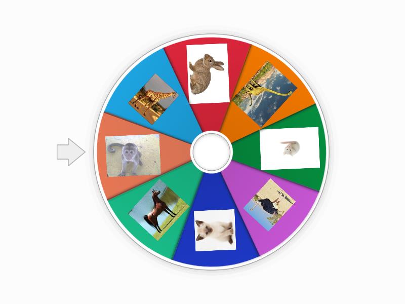 Tall short - Random wheel