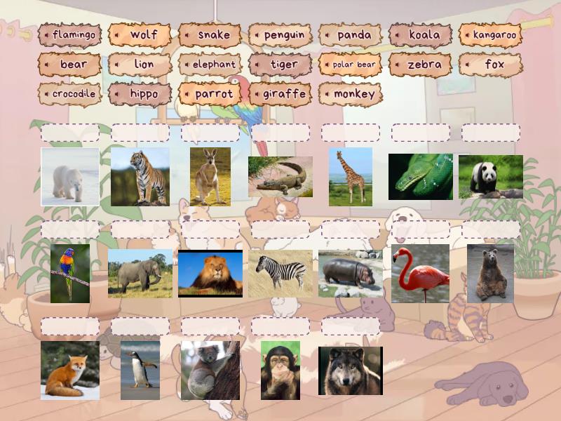 Animals - Match up