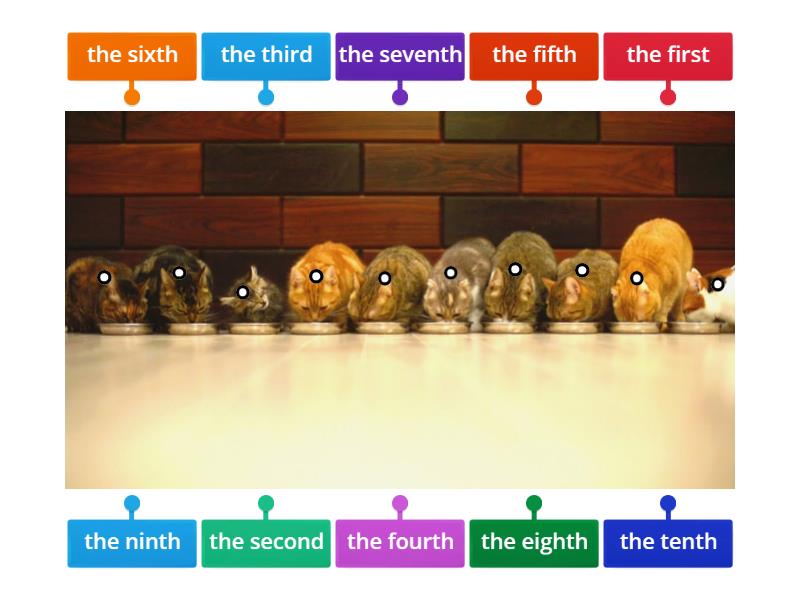 Ordinal Numbers 1st-10th - Labelled diagram