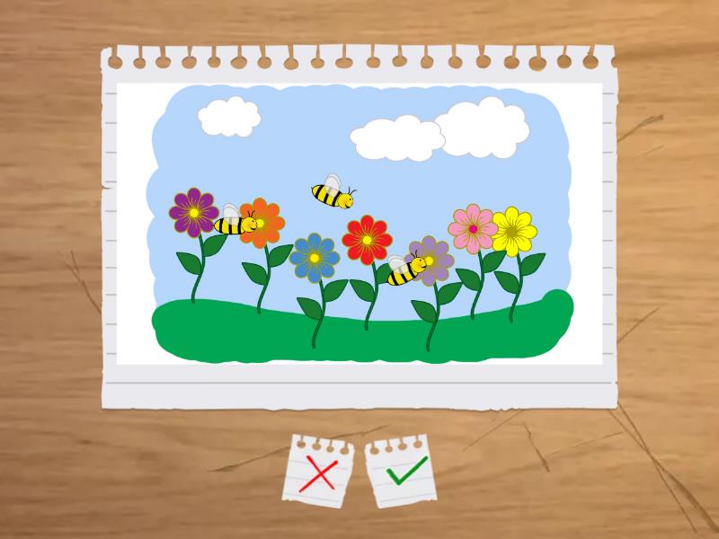 Pollination - Flash cards