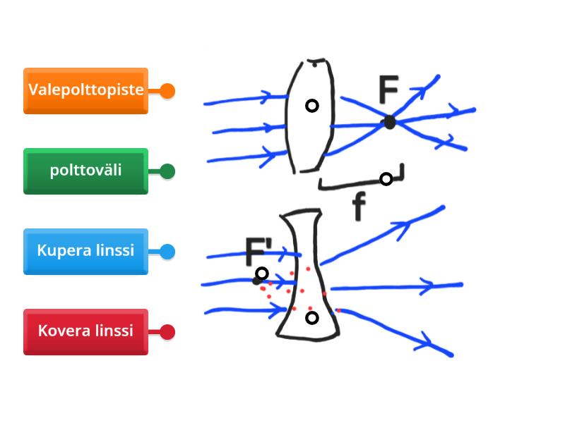 Linssit - Labelled diagram