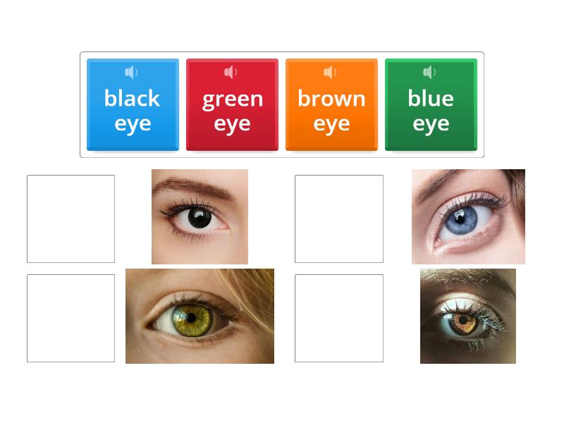 Describing People "Eyes colour" - Match up