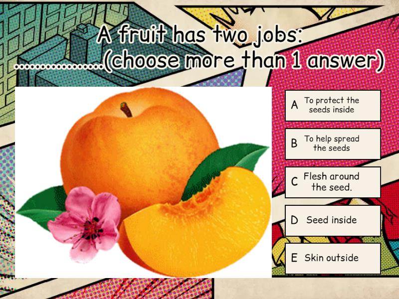 How are seeds spread - Questionário