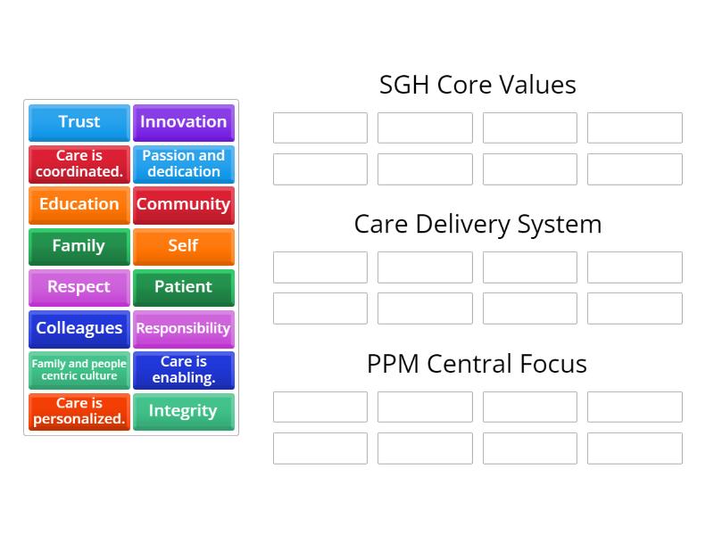 Professional Practice Model - Group sort