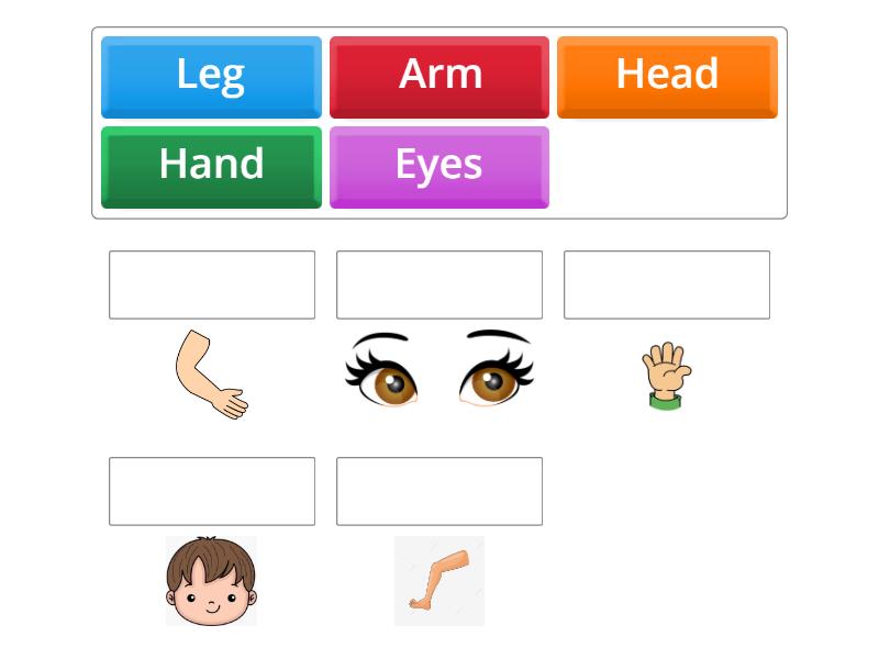 Drag and Drop - Match up