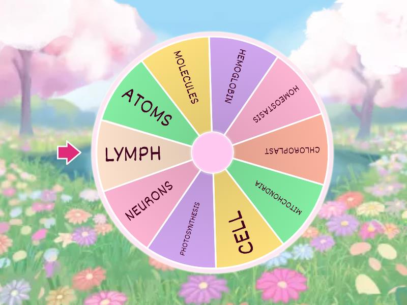 -SCIENCE - Spin the wheel