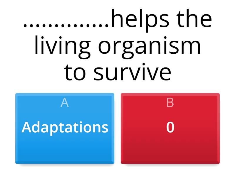 Adaptation 1 - Quiz