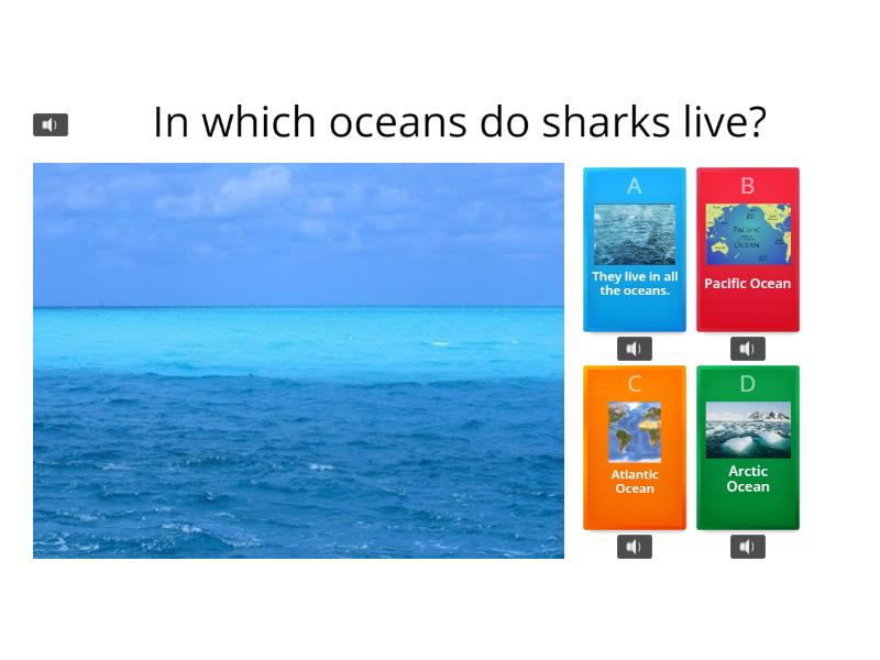 Sharks - Quiz