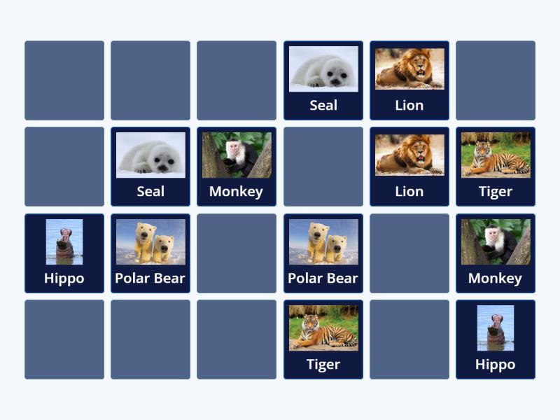 Zoo Animal Memory - Matching pairs