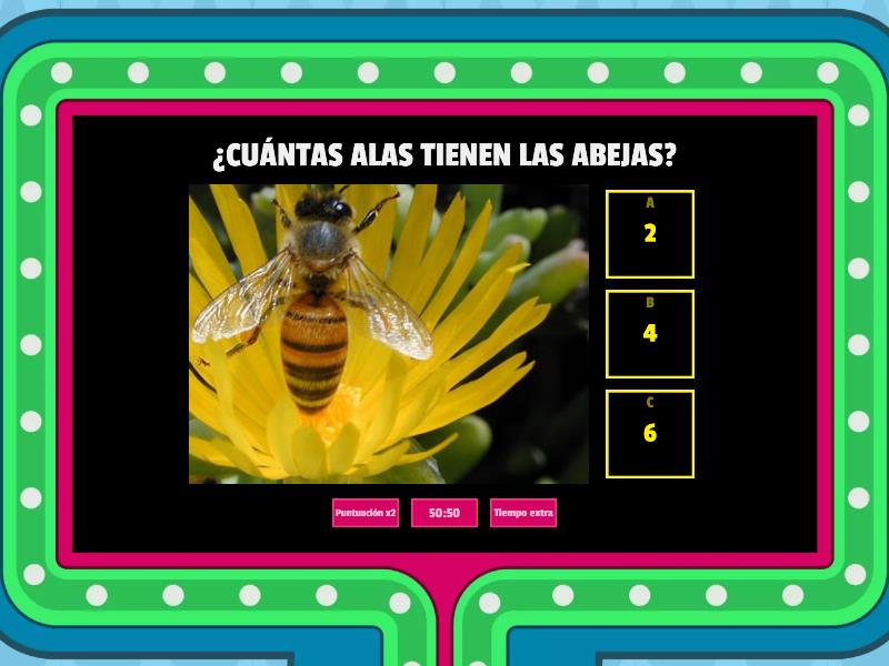 LAS ABEJAS - Gameshow quiz