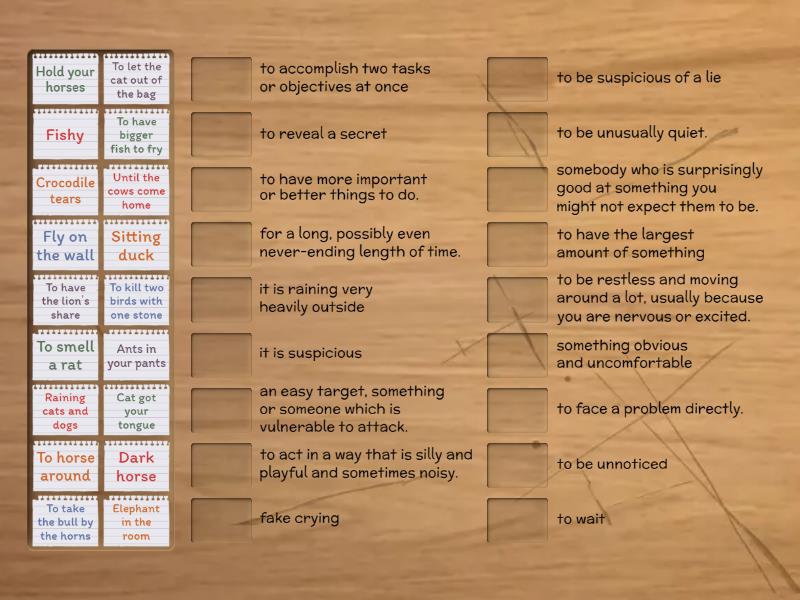 Animals idioms - Match up