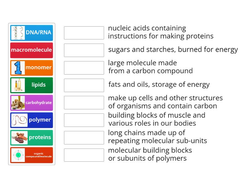 Macromolecules - Match up