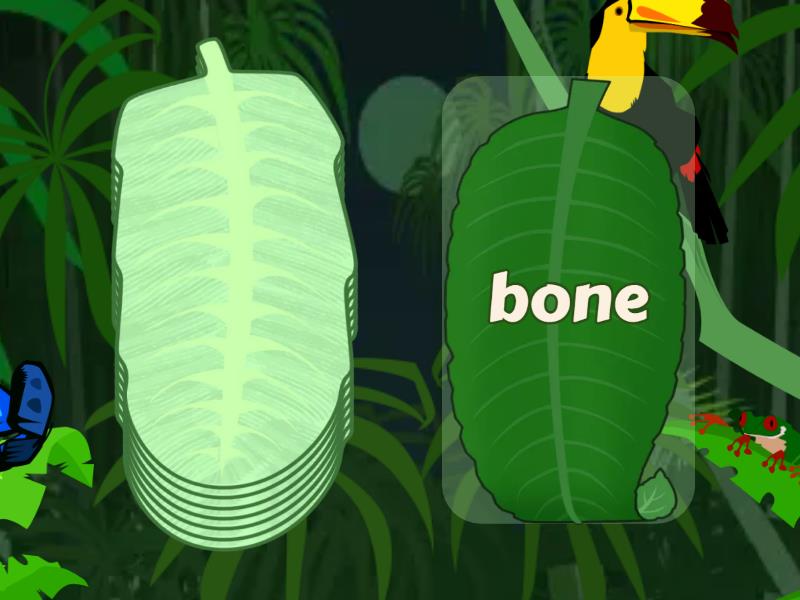 school phonics 3 unit.3 - Speaking cards