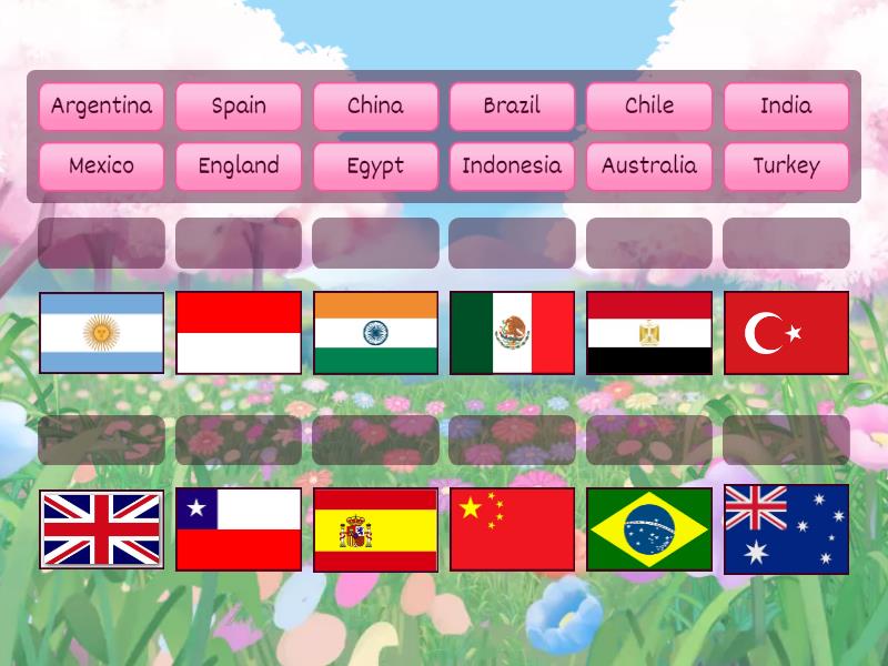 UNIT 8 : COUNTRIES FLAGS - Match up