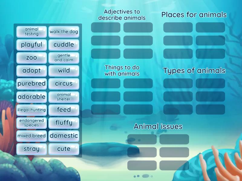 B1.2. L8 Group the words into categories. - Group sort