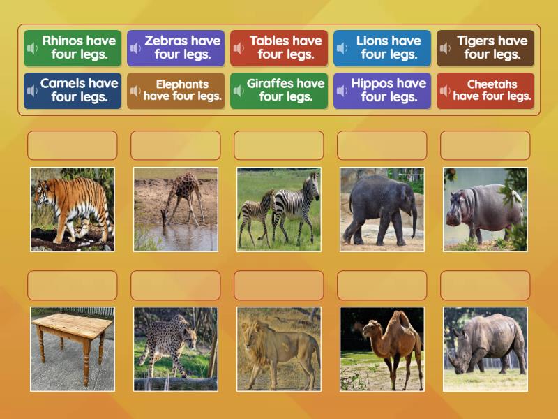 We Have Four Legs - Match up